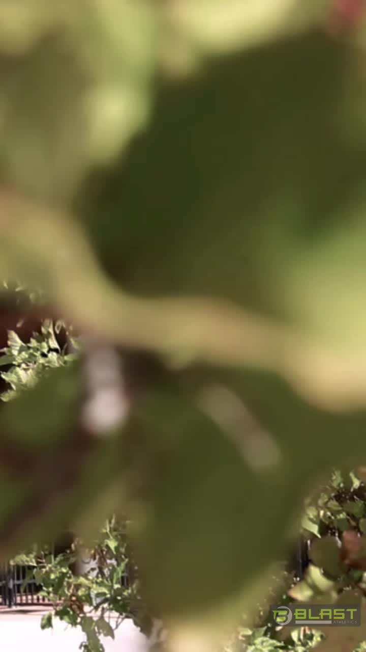 Adams State Football (2024 - 2025) | Blast Athletics